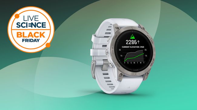 Science News, Latest Scientific Discoveries | Live Science