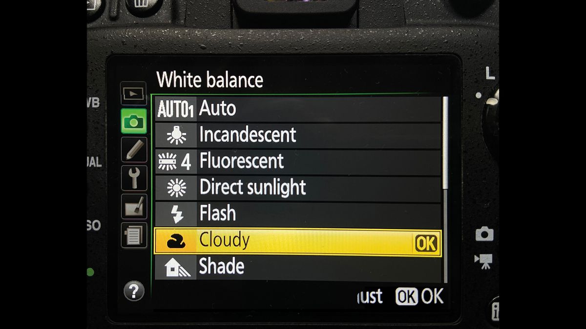 5-minute photo tips: customize the white balance to save yourself time ...