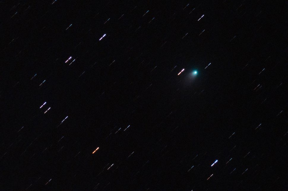 Amazing photos of gorgeously green Comet C/2022 E3 (ZFT) |gallery | Space