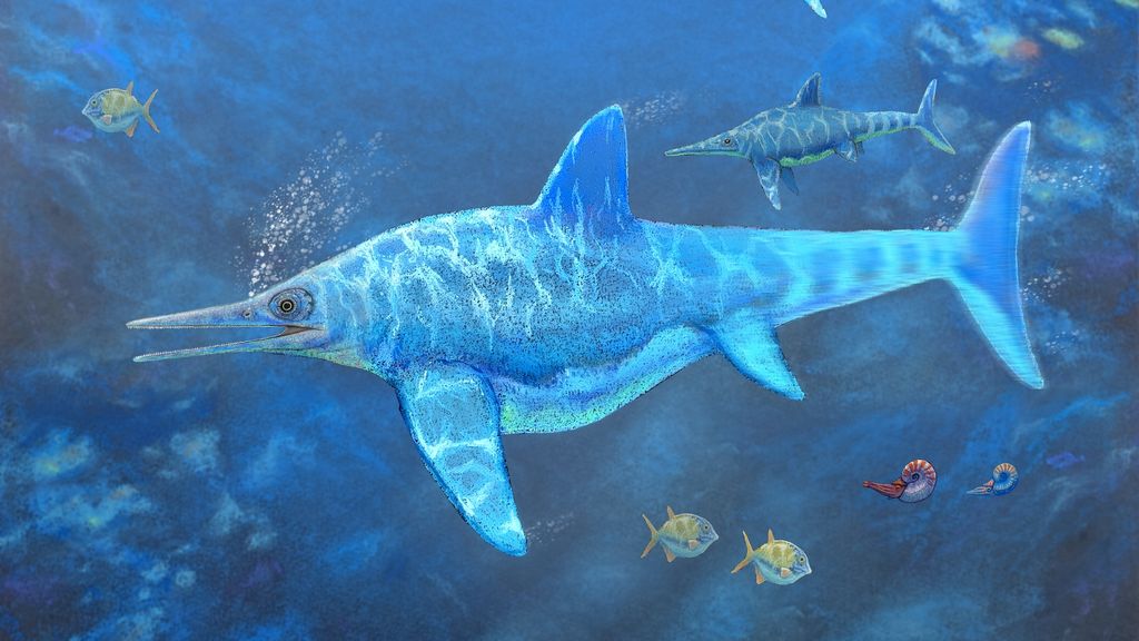 Ancient sea monster was pregnant with twins when she died, 131 million ...