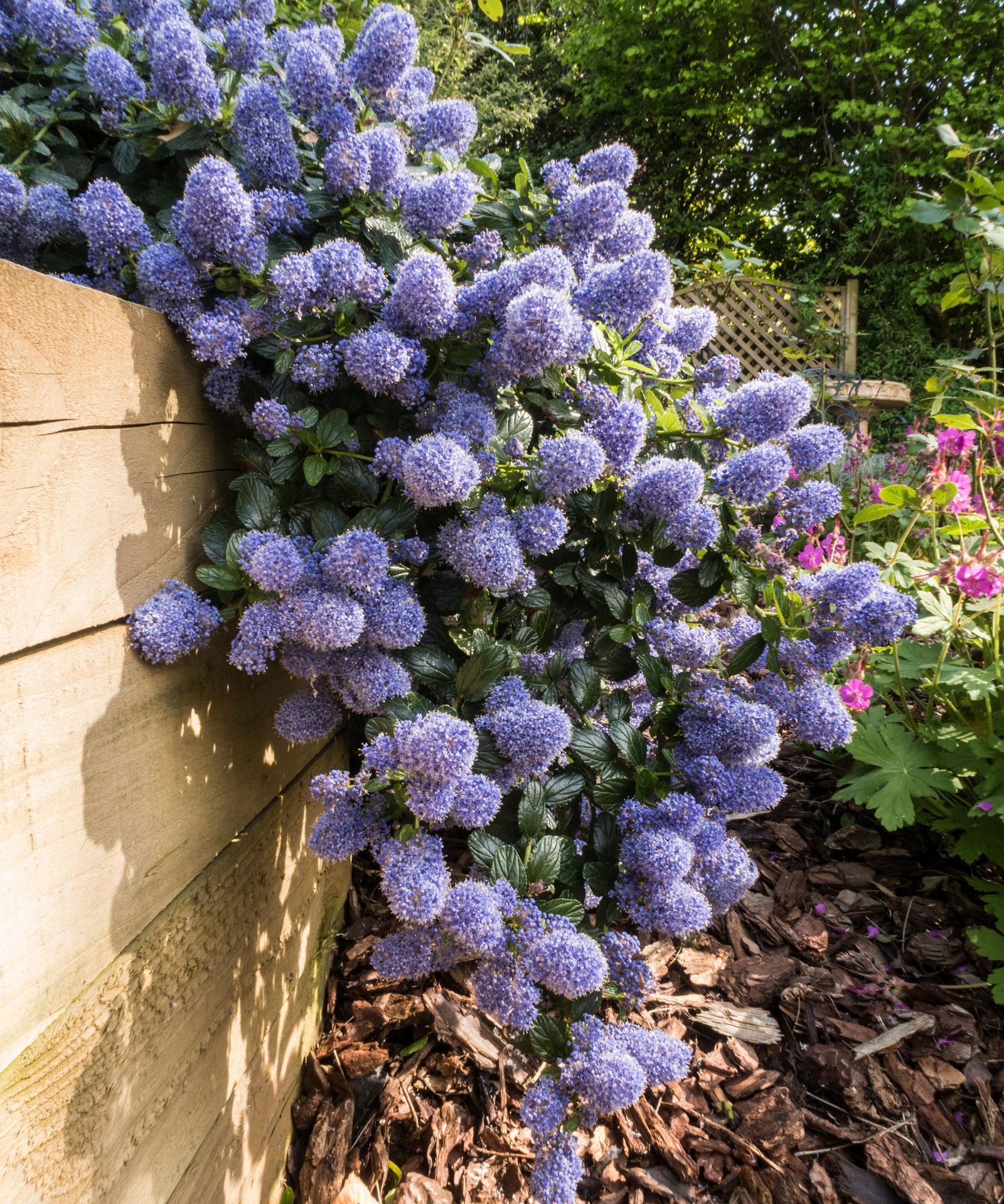 Landscaping with railroad ties: 10 clever ways to use them | Gardeningetc