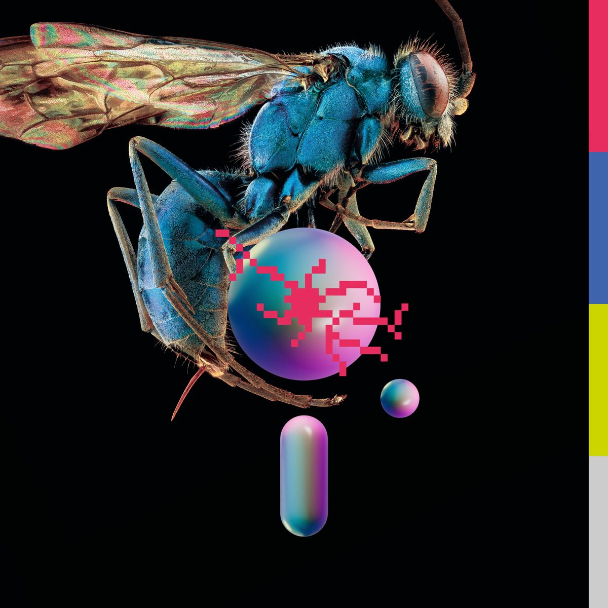 Teeth Of The Sea announce brand new studio album Hive | Louder