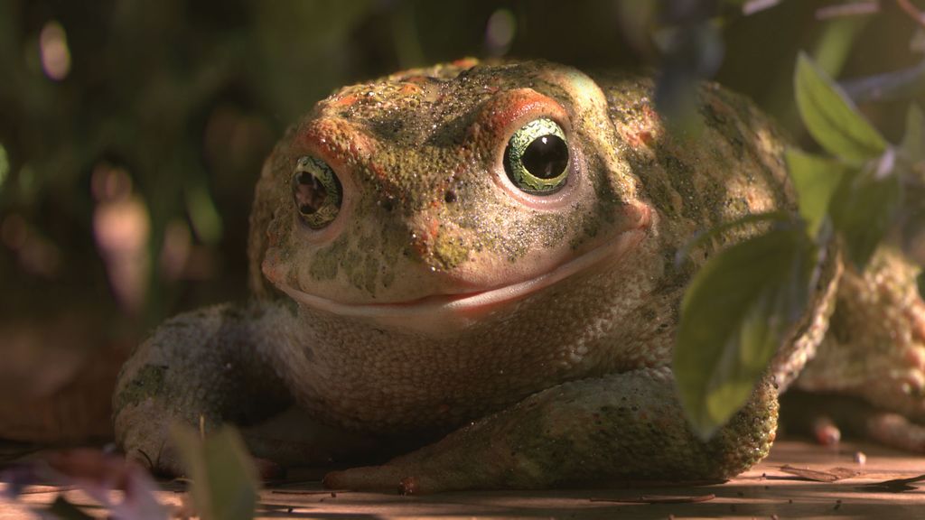 8 of the best animated shorts | Creative Bloq