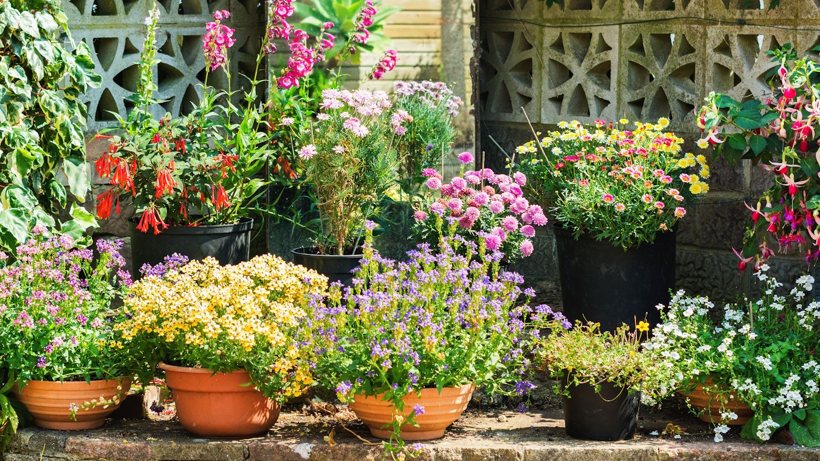 How to spruce up spring containers for summer: 5 ideas | Homes and Gardens