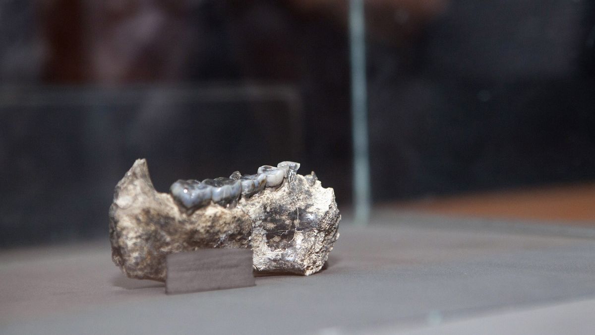 What is the oldest-known archaeological site in the world? | Live Science