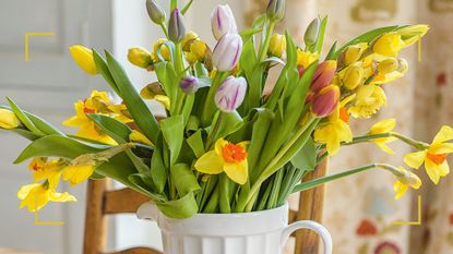 The simple daffodil sap hack florists use to prolong blooms | Woman & Home