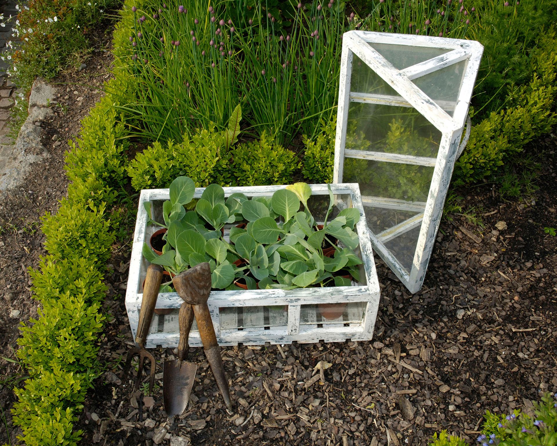 13 DIY mini greenhouses you can make yourself | Gardeningetc