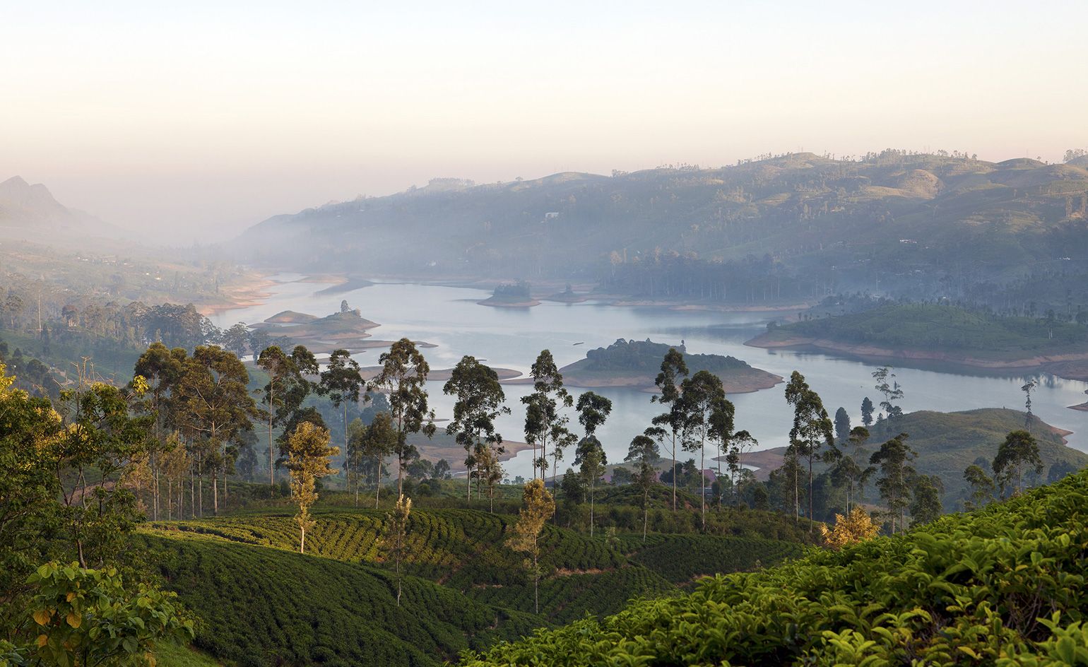 Ceylon Tea Trails | Wallpaper