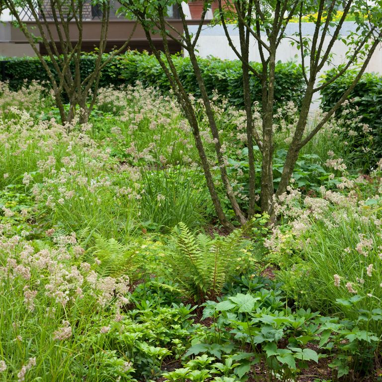 Can you use cardboard to kill weeds? What you need to know | Ideal Home