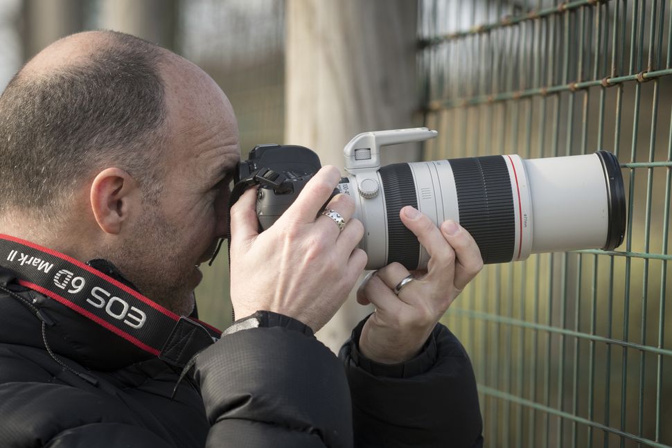 Big cat photo tips | Digital Camera World