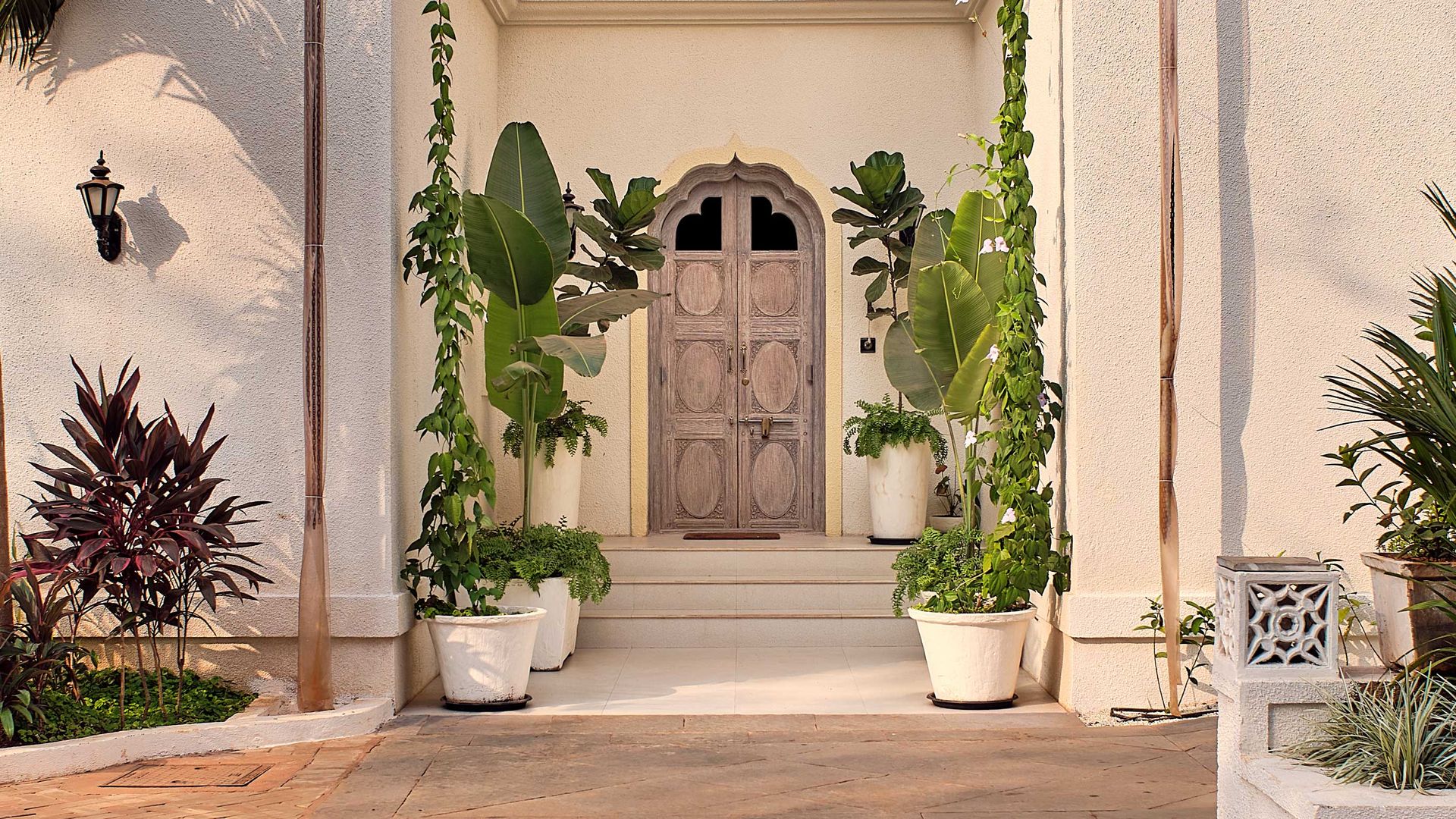 Best trees to grow in pots – 8 low maintenance types to know | Livingetc