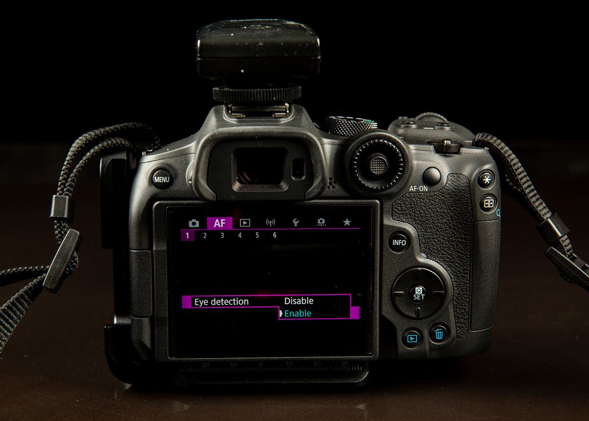 10 tips for superb close-ups: how to shoot macro with studio lighting ...