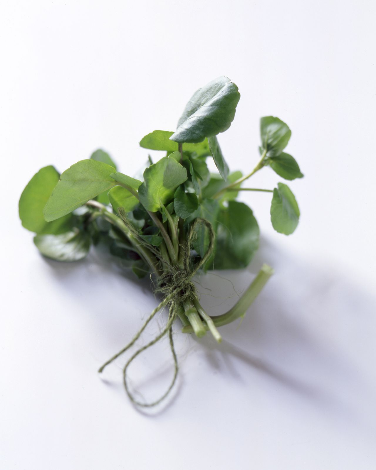 how to grow watercress at home | Homes and Gardens