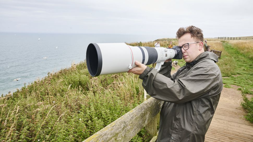 Canon RF 600mm f/4L IS USM review: Pricey yet indispensable optic for ...