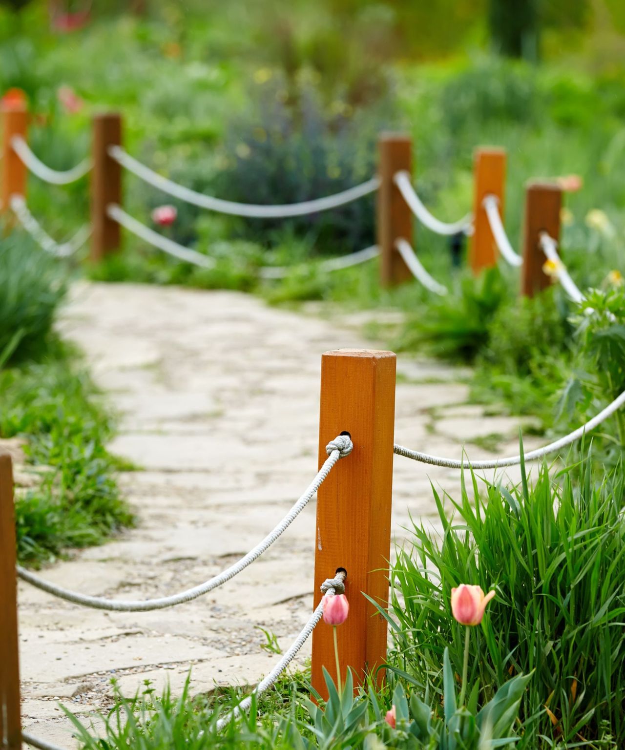 14 lawn edging ideas to enhance your lawn and landscape | Real Homes