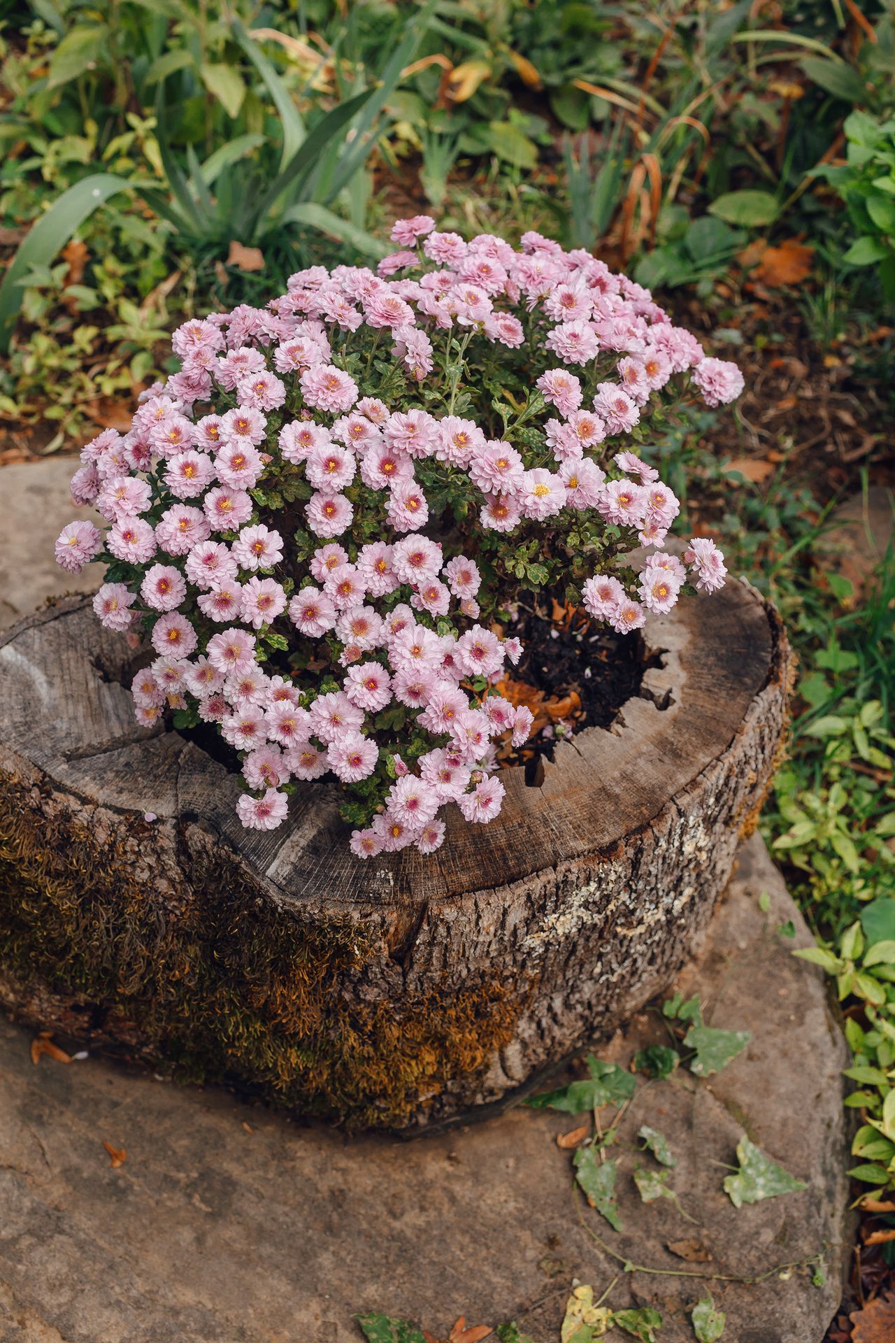 Tree stump ideas: 10 creative designs for your yard | Homes and Gardens