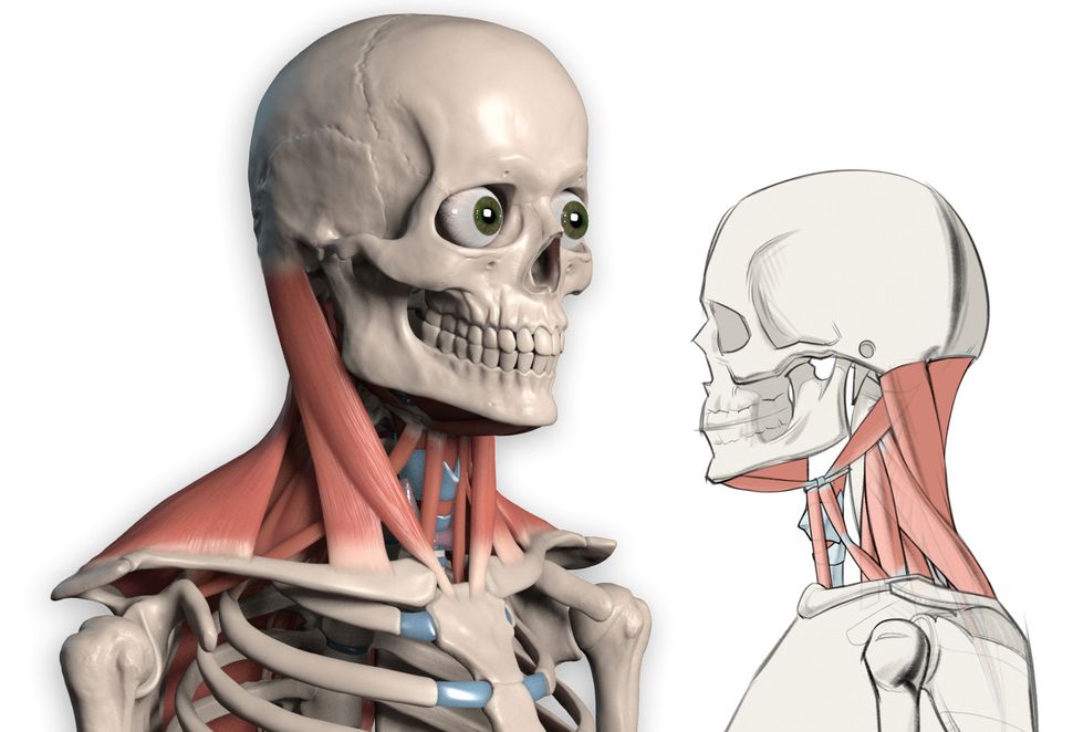Best practice advice for capturing human anatomy | Creative Bloq
