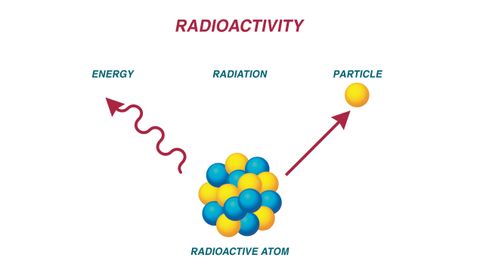 How radioactive is the human body? | Live Science