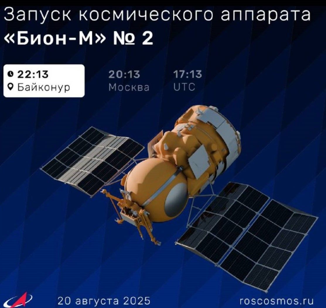 Russian 'Noah's Ark' satellite carrying 75 mice and 1,500 flies lands ...