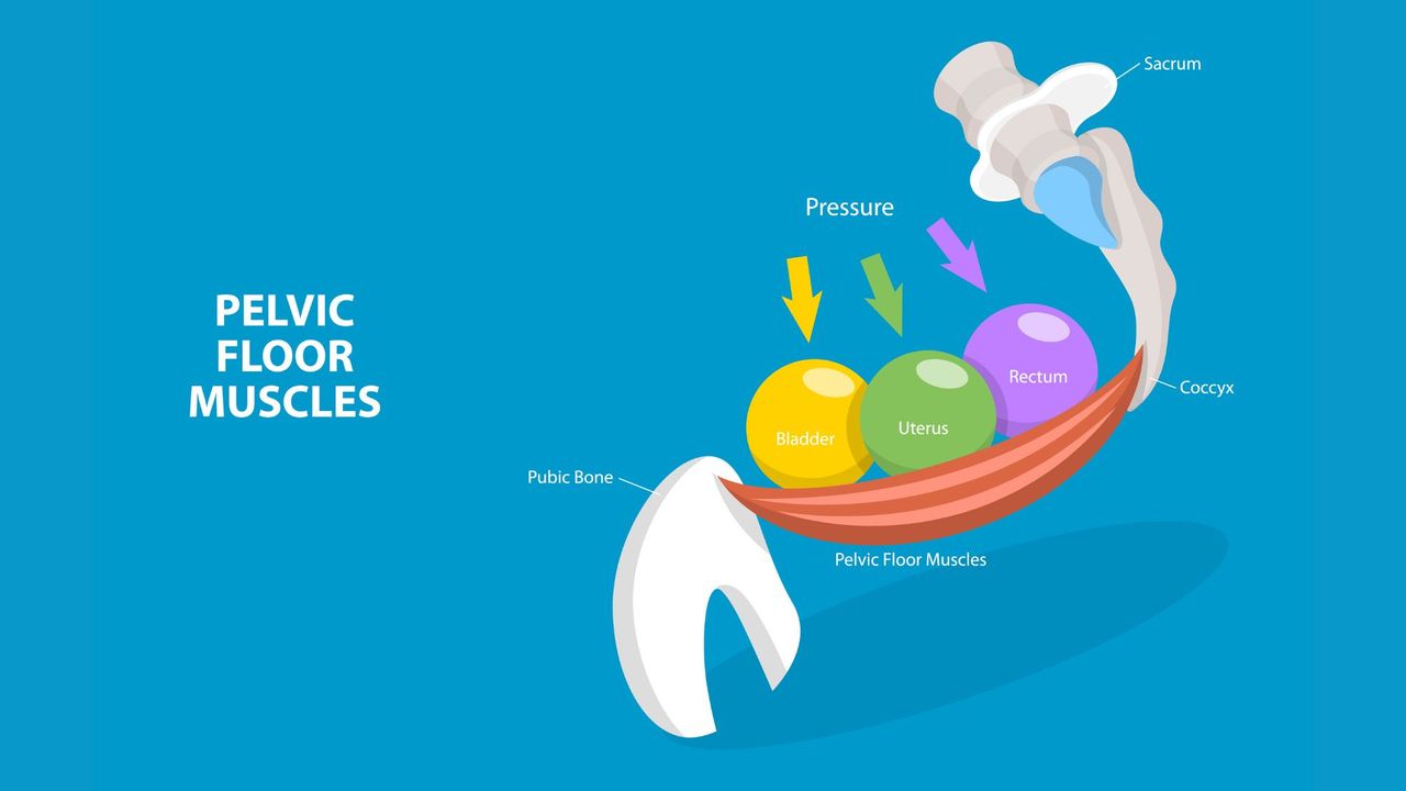 How to do Kegel exercises for a strong pelvic floor | Woman & Home