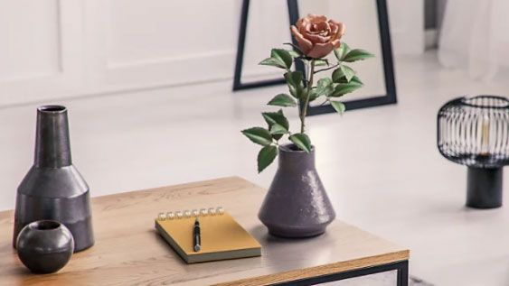 Adobe software list: which apps to use for different creative tasks ...