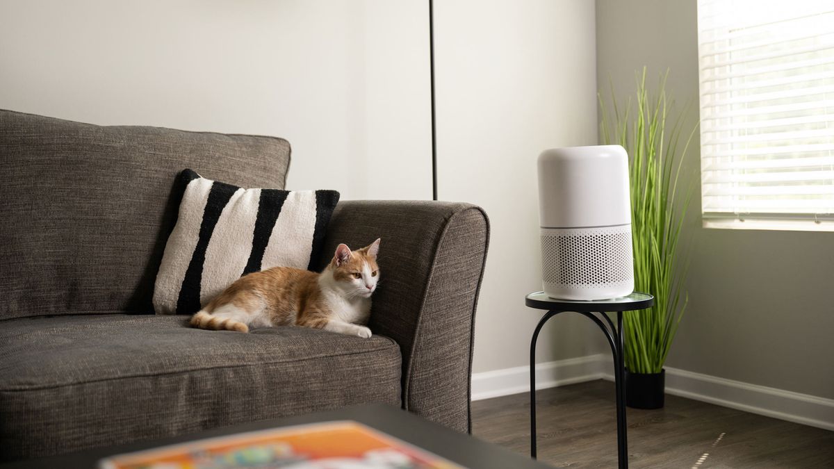 Best air purifiers for allergies 2026: Tried and tested | Live Science