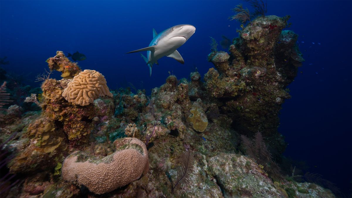 Amazing Images: The Best Science Photos of the Week | Live Science