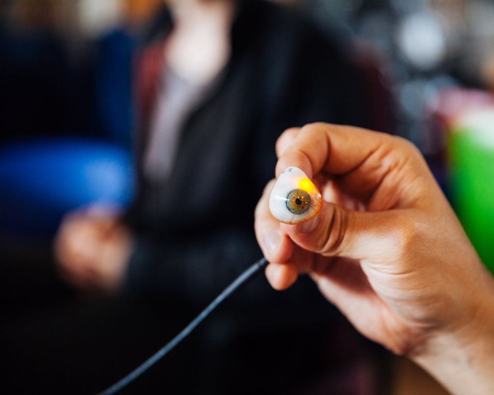 Eyeborg Project (Photos) | Live Science