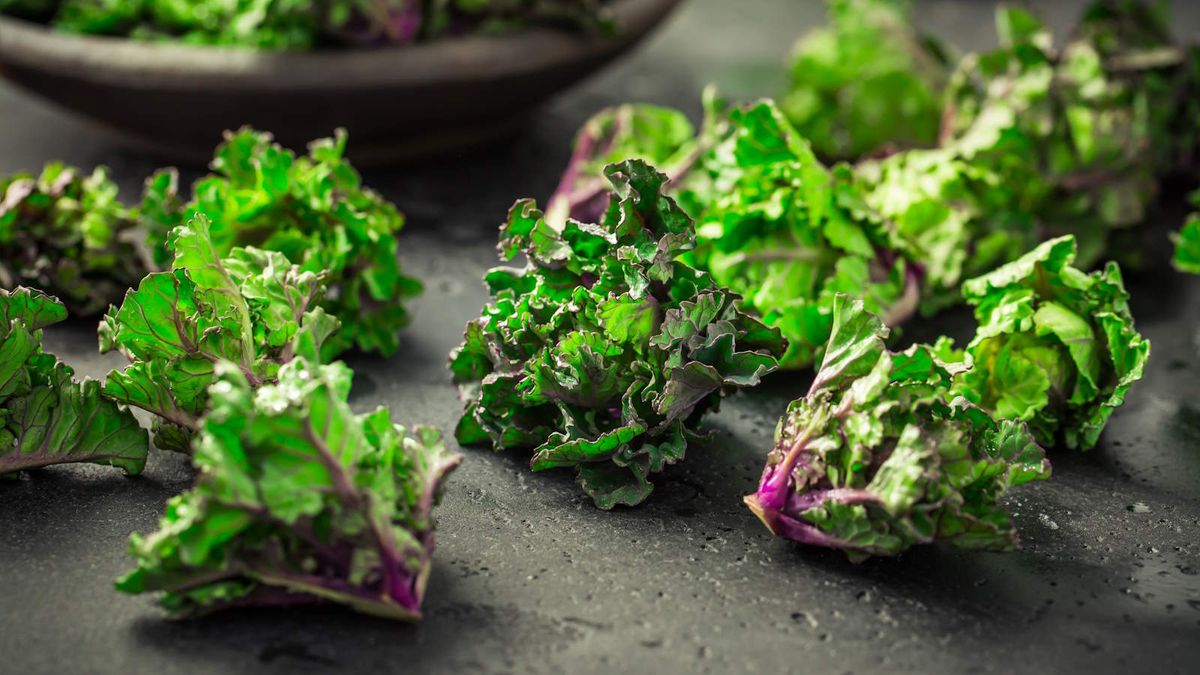 How to grow kalettes - tips for a successful crop | Homes and Gardens