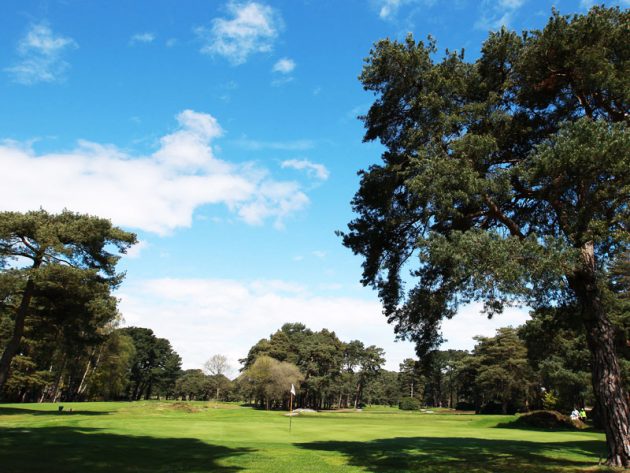 Ferndown Golf Club Old Course Review | Golf Monthly