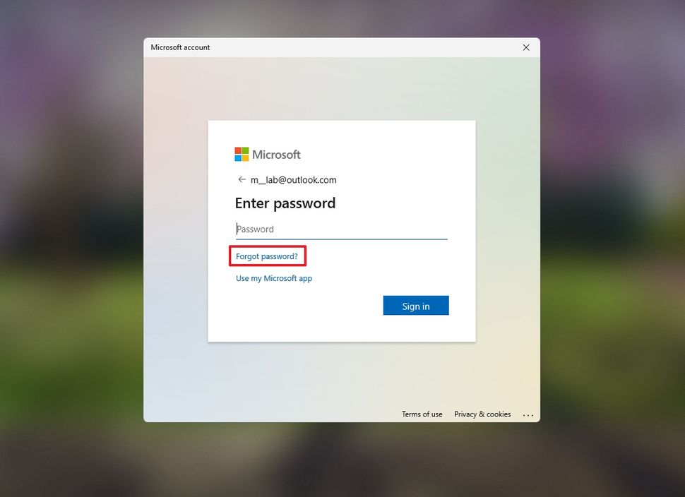How to change account password on Windows 11 | Windows Central