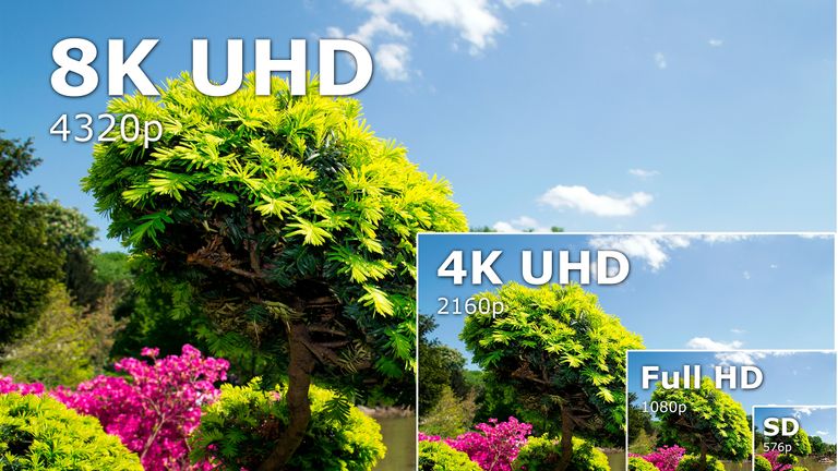 Best 8K TVs 2025: top TVs for when 4K is not enough | T3