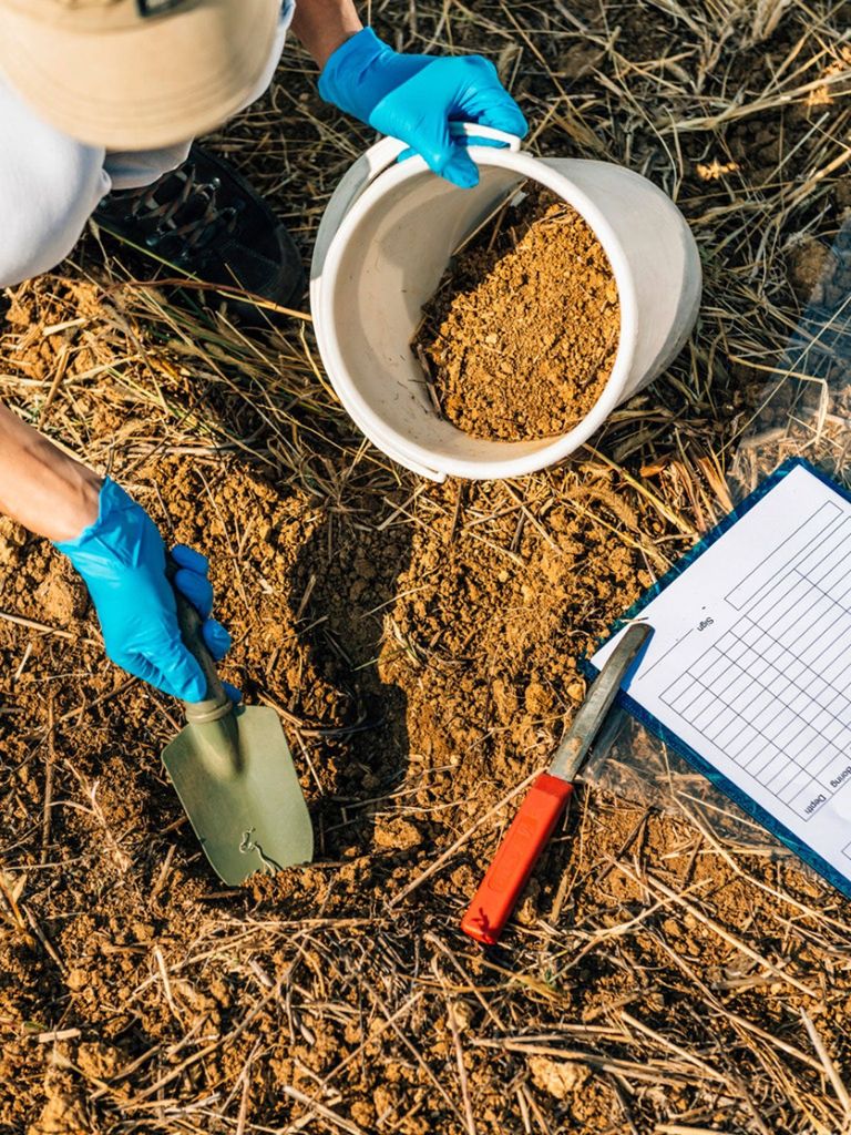 Soil Testing - What Does A Soil Test Show | Gardening Know How