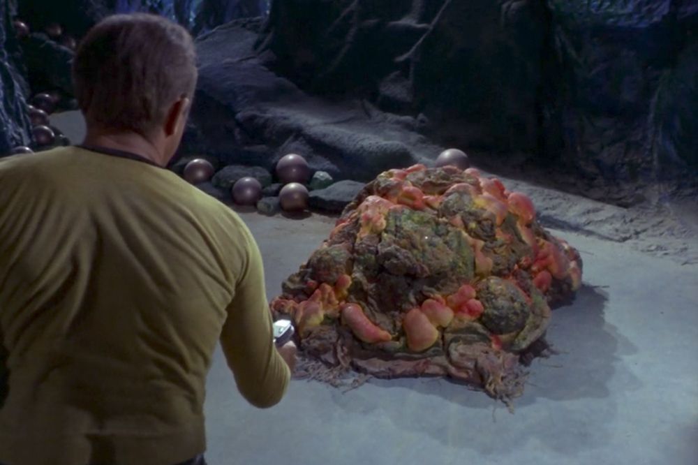 15 of the Most Bizarre Alien Species Featured in 'Star Trek' | Space