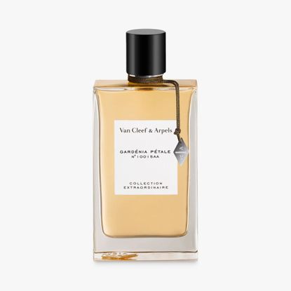 The Best Van Cleef & Arpels Perfumes, Ranked by an Editor | Who What Wear