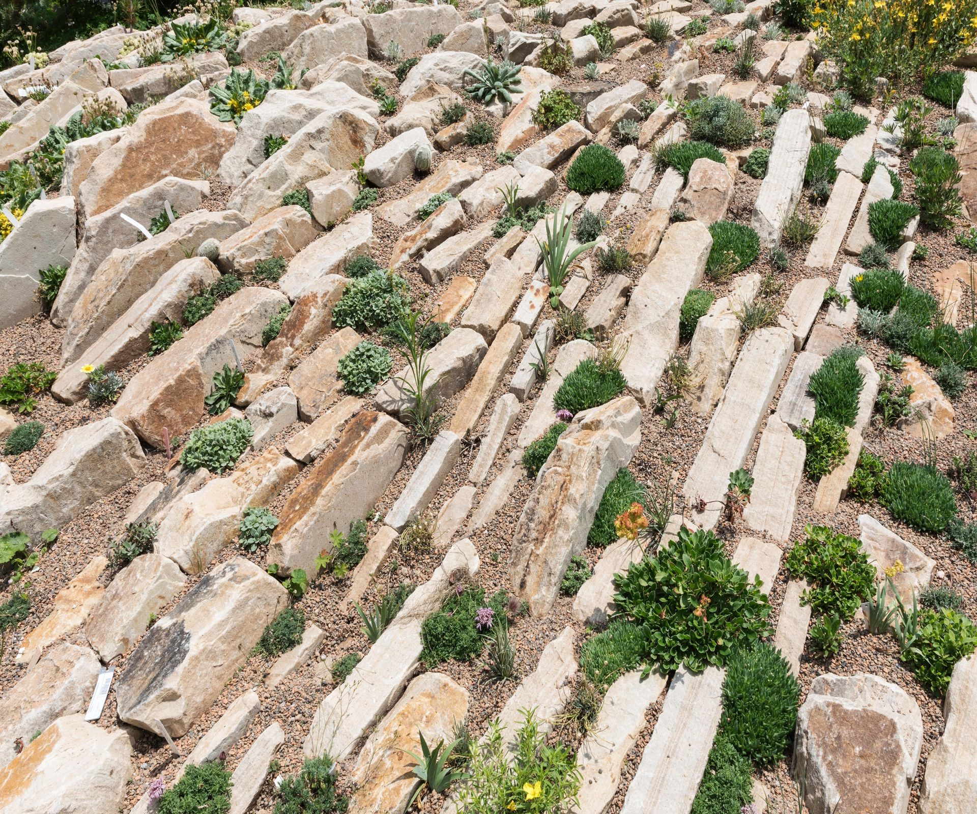 How to start a crevice garden this summer - experts tell all | Homes ...