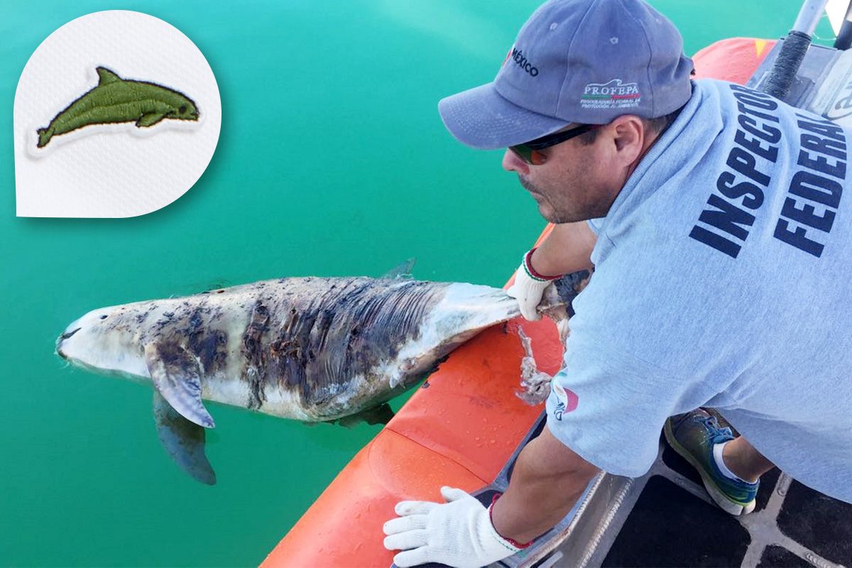 10 Species That Are in So Much Danger They'll Be Featured on Limited ...