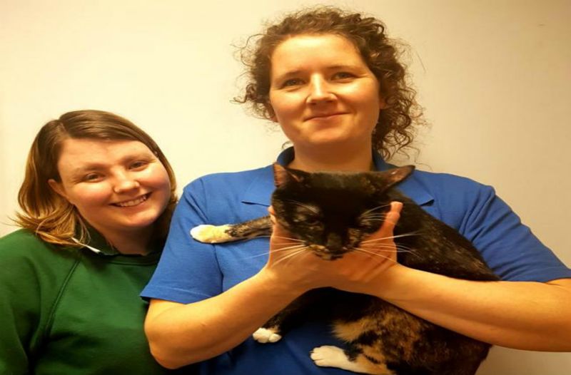 Articles by Emma Rossiter | GoodtoKnow