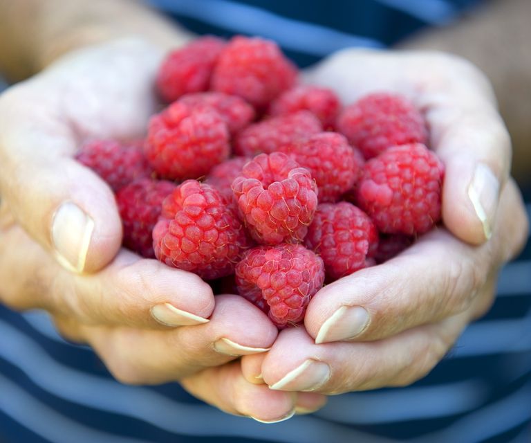 How to grow raspberries in pots: expert tips for success | Homes and ...