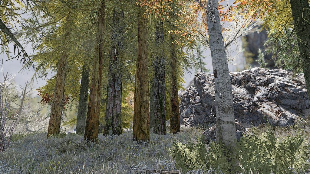 Skyrim modder uses real life photography to recreate gorgeous Finnish ...