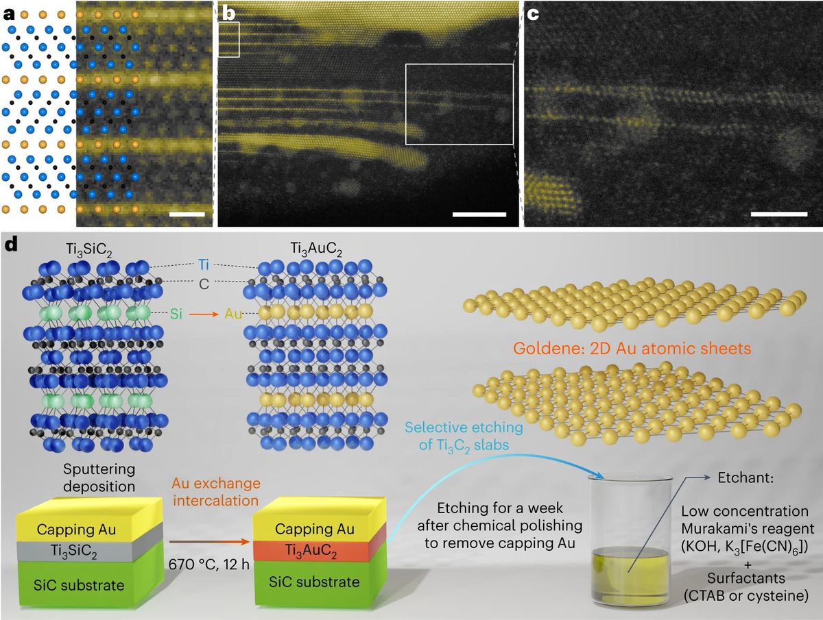 Researchers create Goldene — a single atomic layer of gold with ...