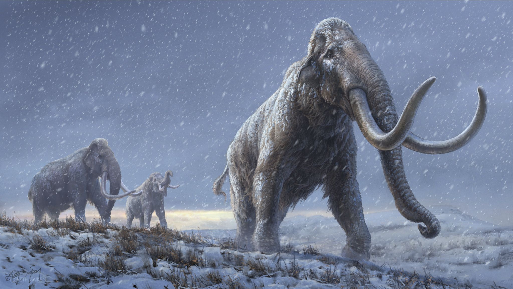 Were the first humans superpredators? | Live Science