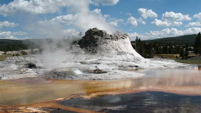 Extreme Life on Earth: 8 Bizarre Creatures | Live Science