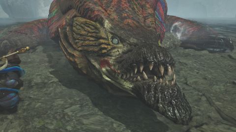 How to get the Monster Hunter Wilds Hunter Symbol 3 | GamesRadar+