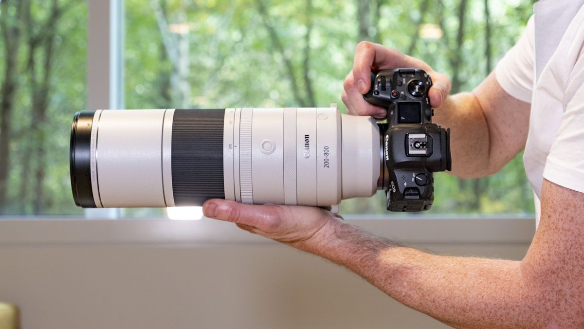 Canon RF 200-800mm F6.3-9 IS USM review: mega reach, decent price ...