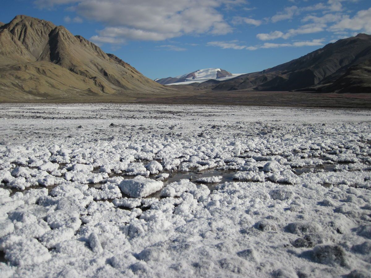 Mars Could Have 'Cold Springs' Like Canadian Arctic | Space
