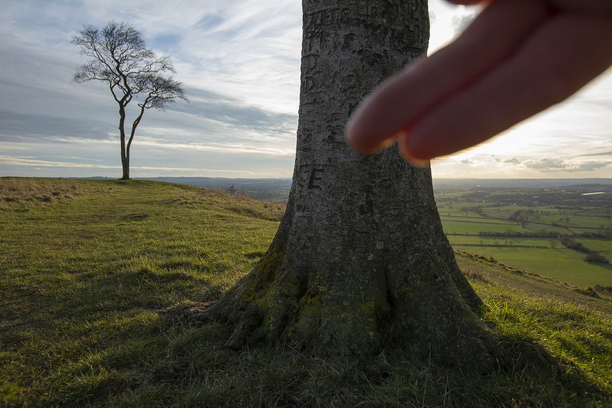 Burst onto the scene! How to achieve a stunning starburst effect in ...