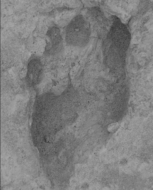 The Shoe Fits! 1.5 Million-Year-Old Human Footprints Found | Live Science