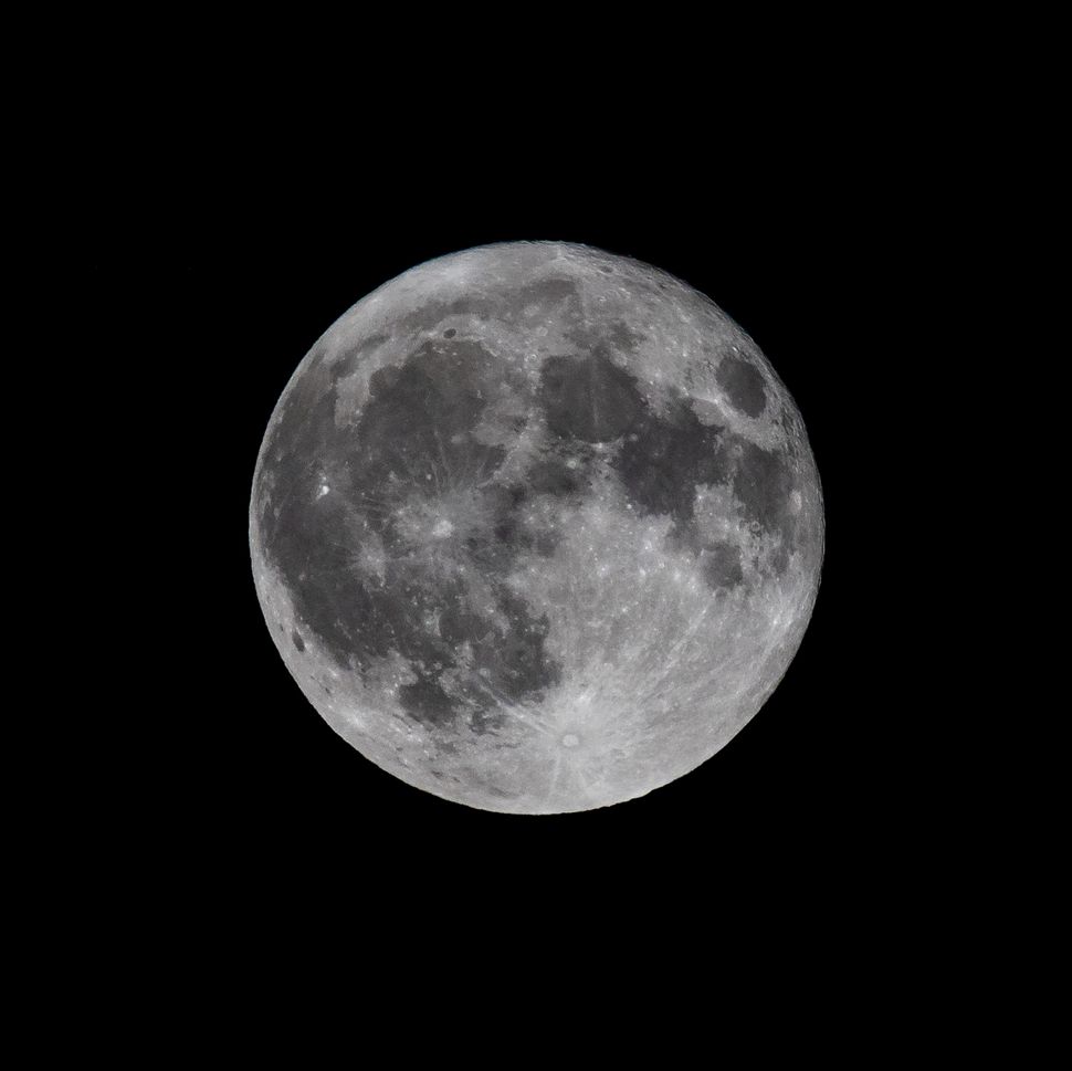 Supermoon Blue Moon 2024 — Top photos from around the world | Space