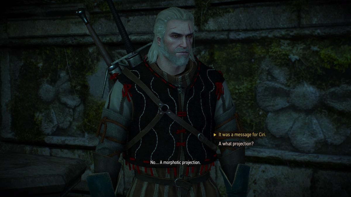The Witcher 3 Wandering in the Dark quest and how to escape from the ...